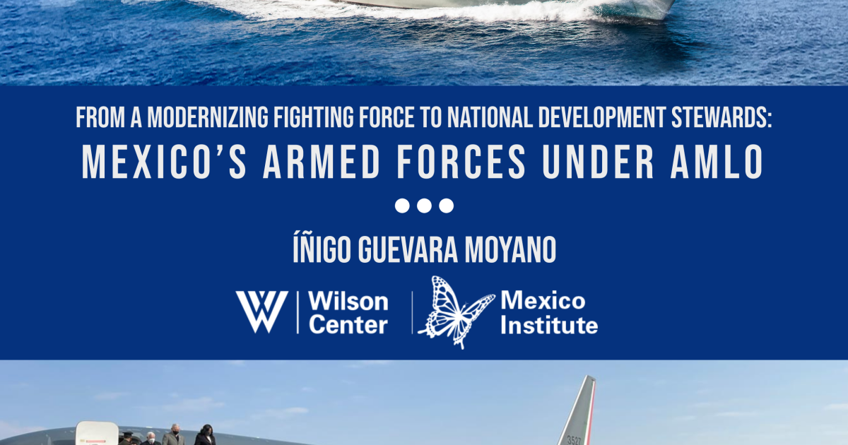 From a Modernizing Fighting Force to National Development Stewards ...