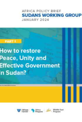 South Africa: The Foundations for a Successful Democratic Transition ...